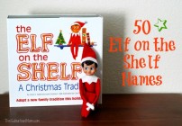 How To Name Your Elf On The Shelf ~ 50 Ideas - TheSuburbanMom