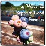 Four Ways You Can Support Local Farmers - TheSuburbanMom