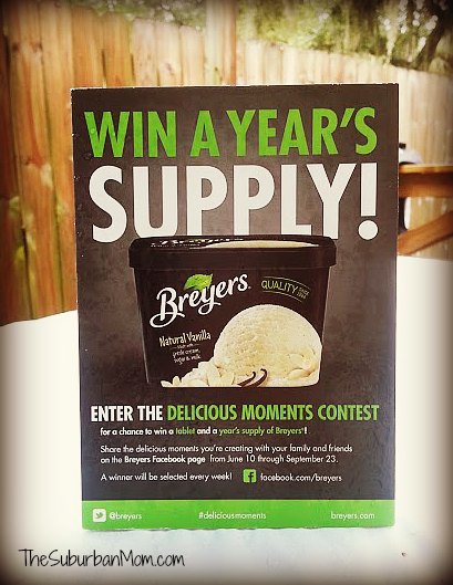 Breyers Mint Chocolate Chimp Ice Cream Treat Recipe - TheSuburbanMom