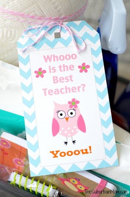Teacher Appreciation Basket & Free Owl Printable Tag - TheSuburbanMom