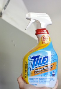 Get Rid Of Ugly (Gross) Mold And Mildew Fast - TheSuburbanMom