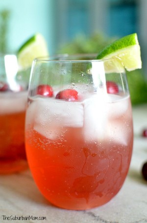Cranberry Spritzer Recipe