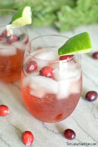 Cranberry Spritzer Recipe