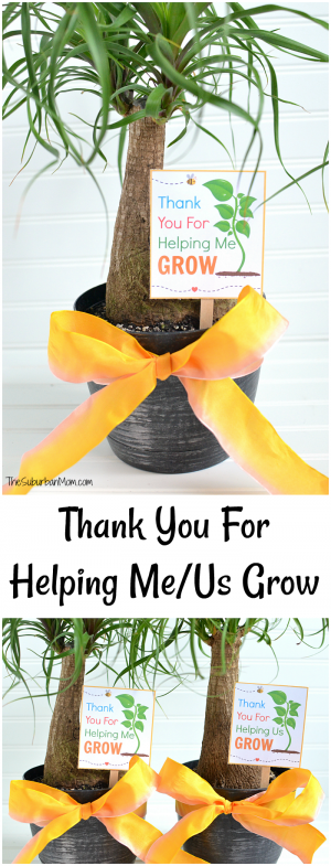 Thank You For Helping Me Grow Free Printable (Us Version Too!)