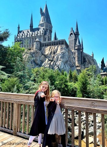 Welcome To The Official Harry Potter Fan Club - The Suburban Mom