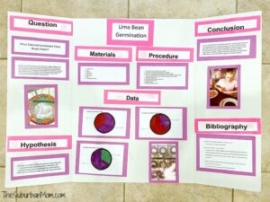Paper Plate Greenhouse Kids STEM Project - The Suburban Mom