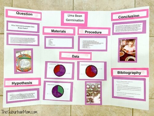 Paper Plate Greenhouse Kids STEM Project - The Suburban Mom
