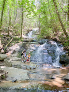 Things To Do In Blue Ridge Georgia With Kids - The Suburban Mom