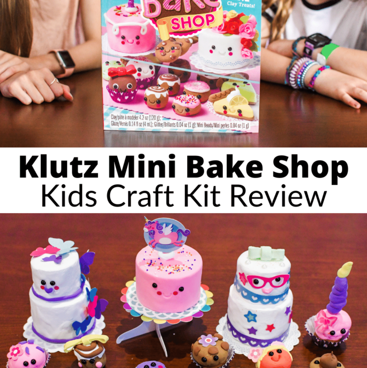 Reviews Archives - TheSuburbanMom