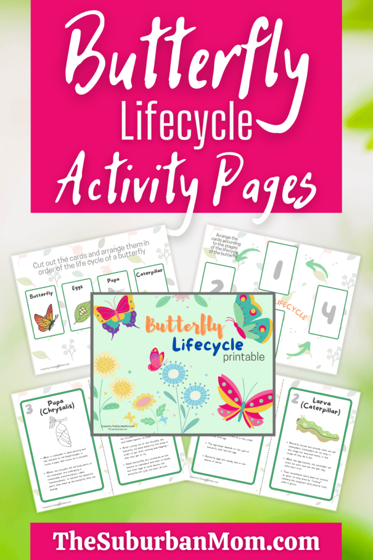Free Printable Butterfly Lifecycle Activity Pages - TheSuburbanMom